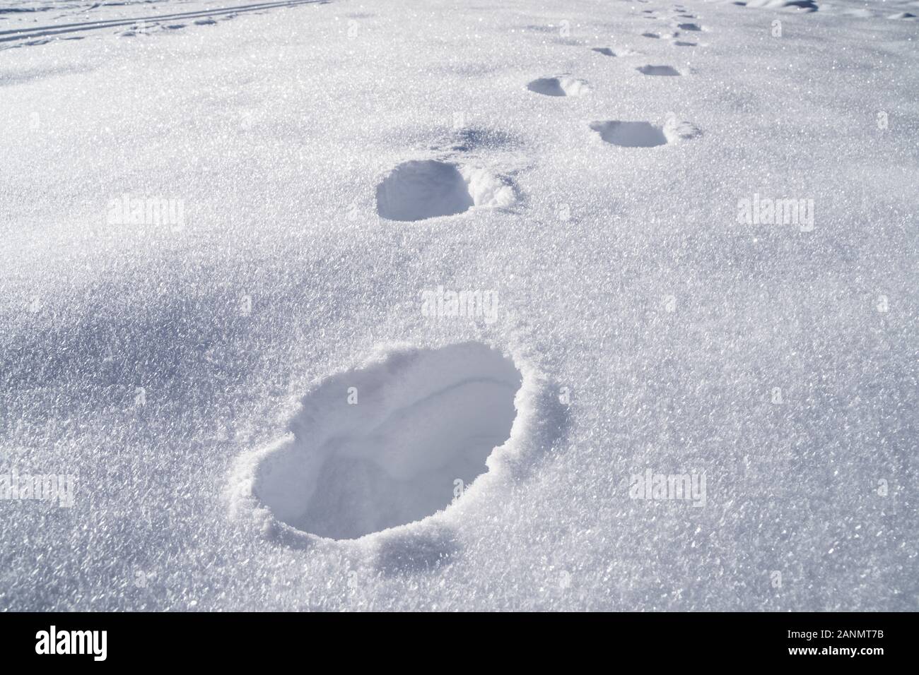 Steps On Fresh White Fine Snow Closeup Stock Photo - Alamy