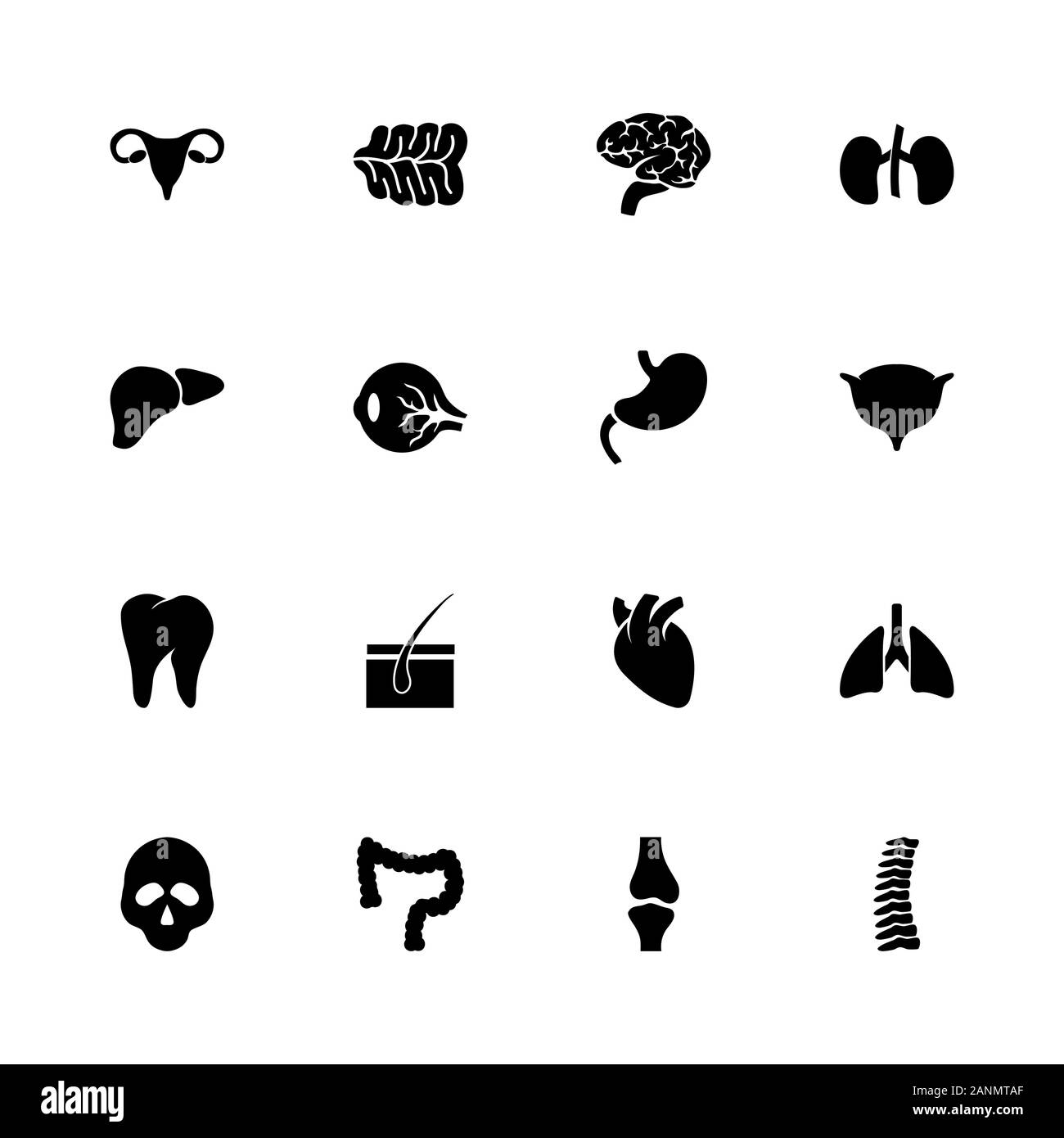 Organs icons - Expand to any size - Change to any colour. Flat Vector ...