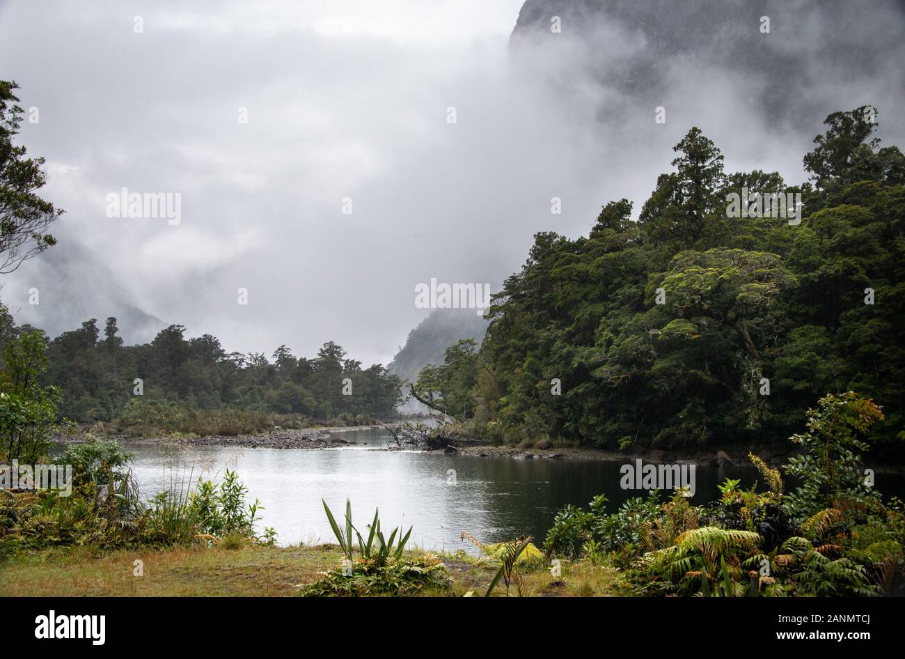 Milford trek hi-res stock photography and images - Alamy