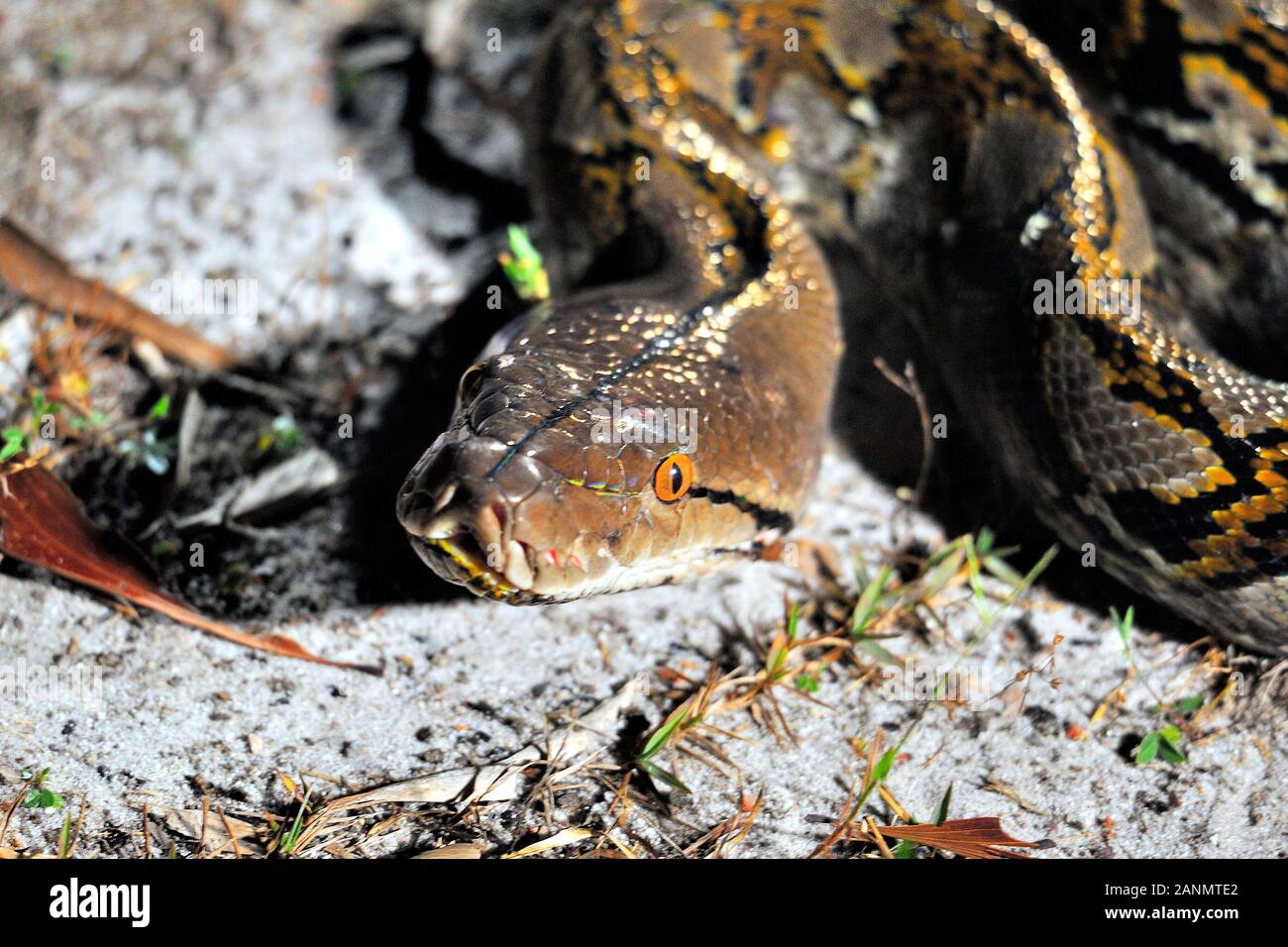 China Brunei High Resolution Stock Photography and Images - Alamy
