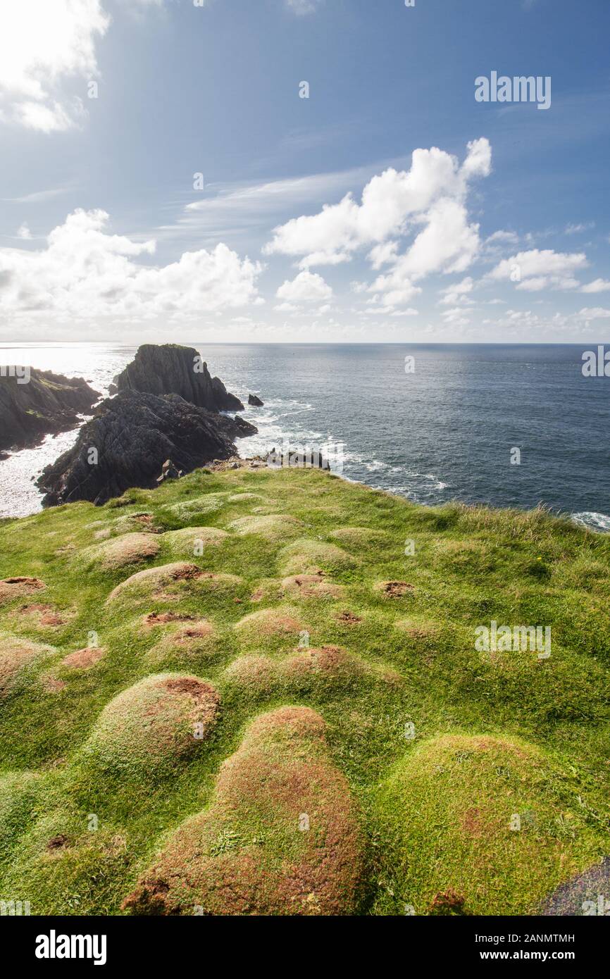 Inishowen Head Lighthouse High Resolution Stock Photography and Images ...