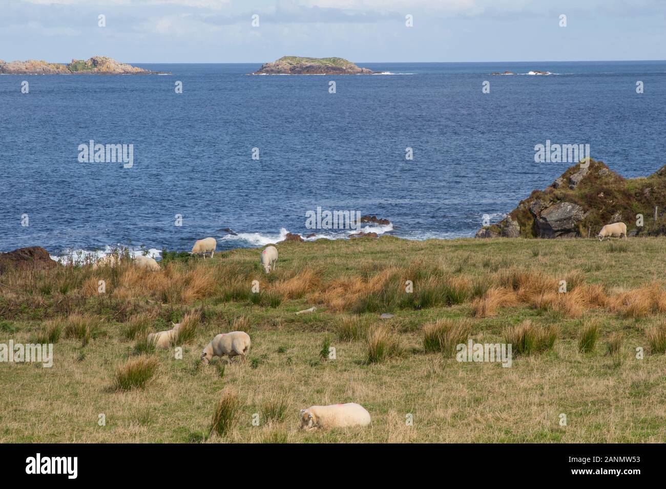 Inishowen Head Lighthouse High Resolution Stock Photography and Images ...