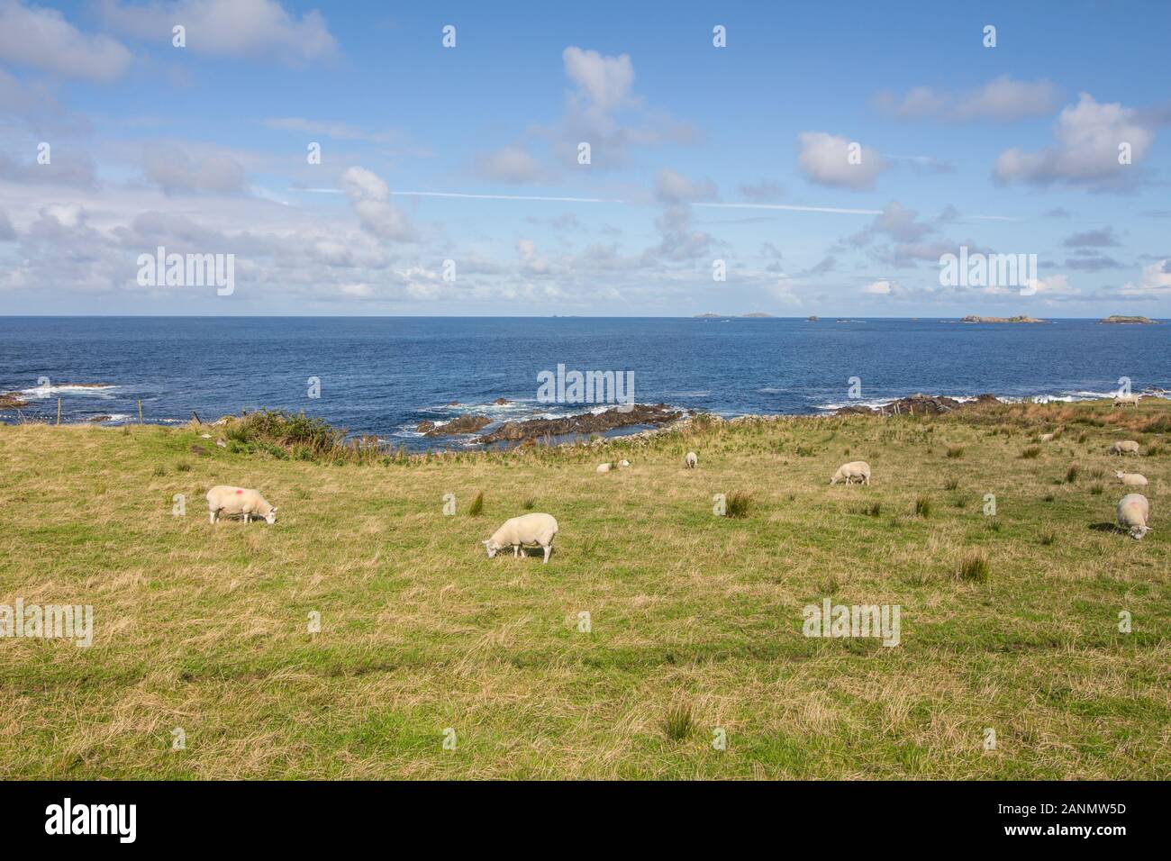 Inishowen Head Lighthouse High Resolution Stock Photography and Images ...