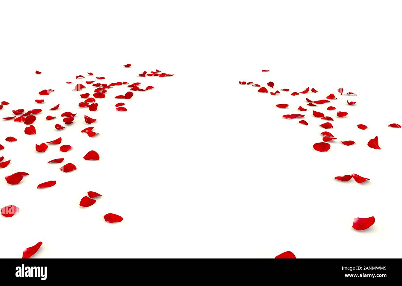 Rose petals are scattered on the floor. There is free space for your ...