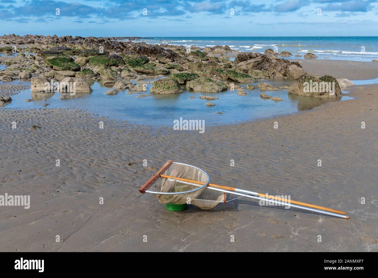 Sand shrimp hi-res stock photography and images - Alamy