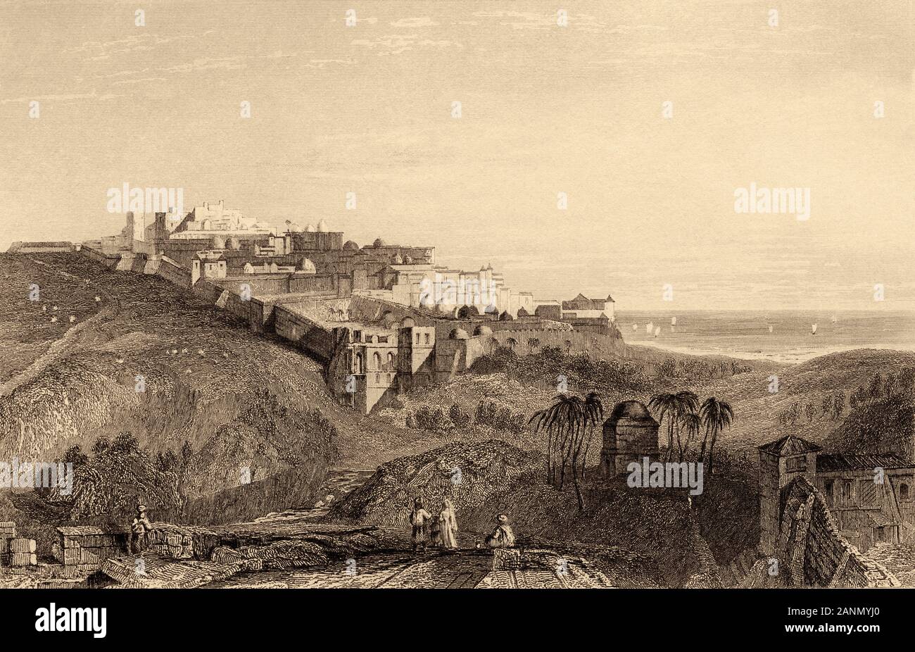 View of Jaffa, Israel. Old engraving by Lemaitre published in L'Univers ...