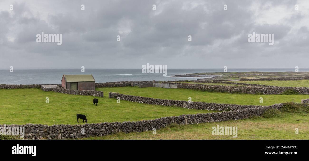 Old irish wall dun aengus hi-res stock photography and images - Alamy
