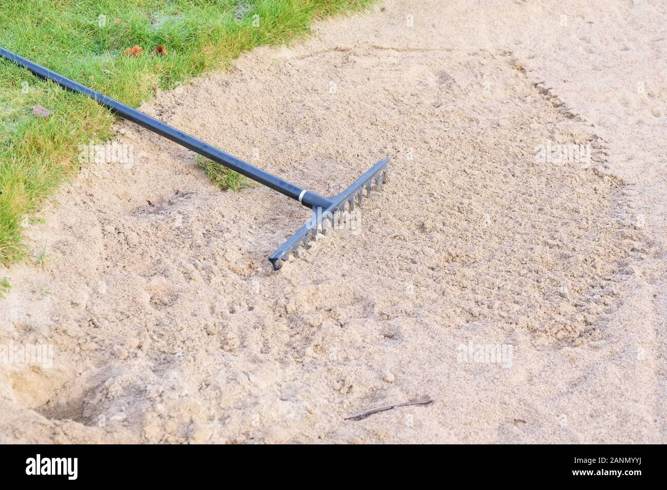 Rake in sand bunker at golf links course green for golfers Stock Photo ...
