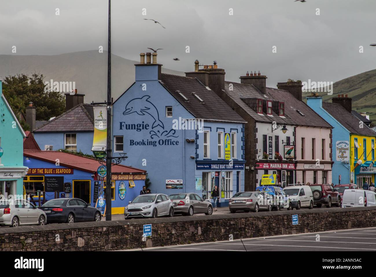 Green landscape dingle peninsula hi-res stock photography and images ...
