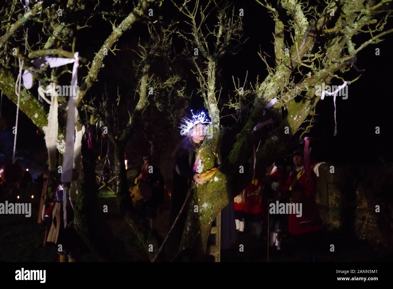 Deans Court’s traditional wassailing celebrations January 17th 2020 in ...