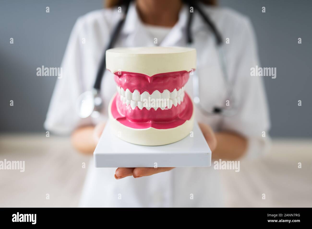 Photo Of Doctor Holding Tooth Model In Hands Stock Photo - Alamy