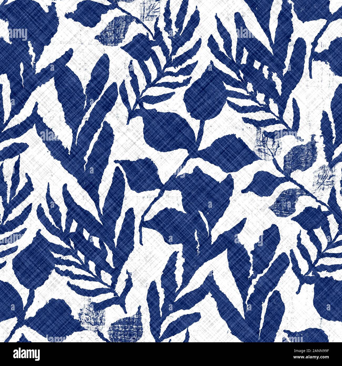 Cyanotype leaves hi-res stock photography and images - Alamy