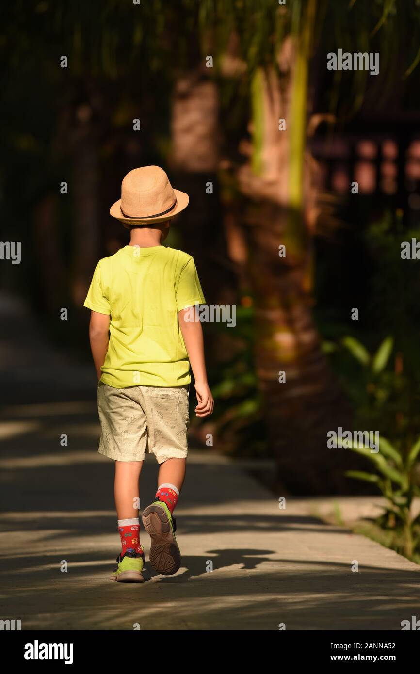 Back view of young boy wearing hat walking and passing through woods ...