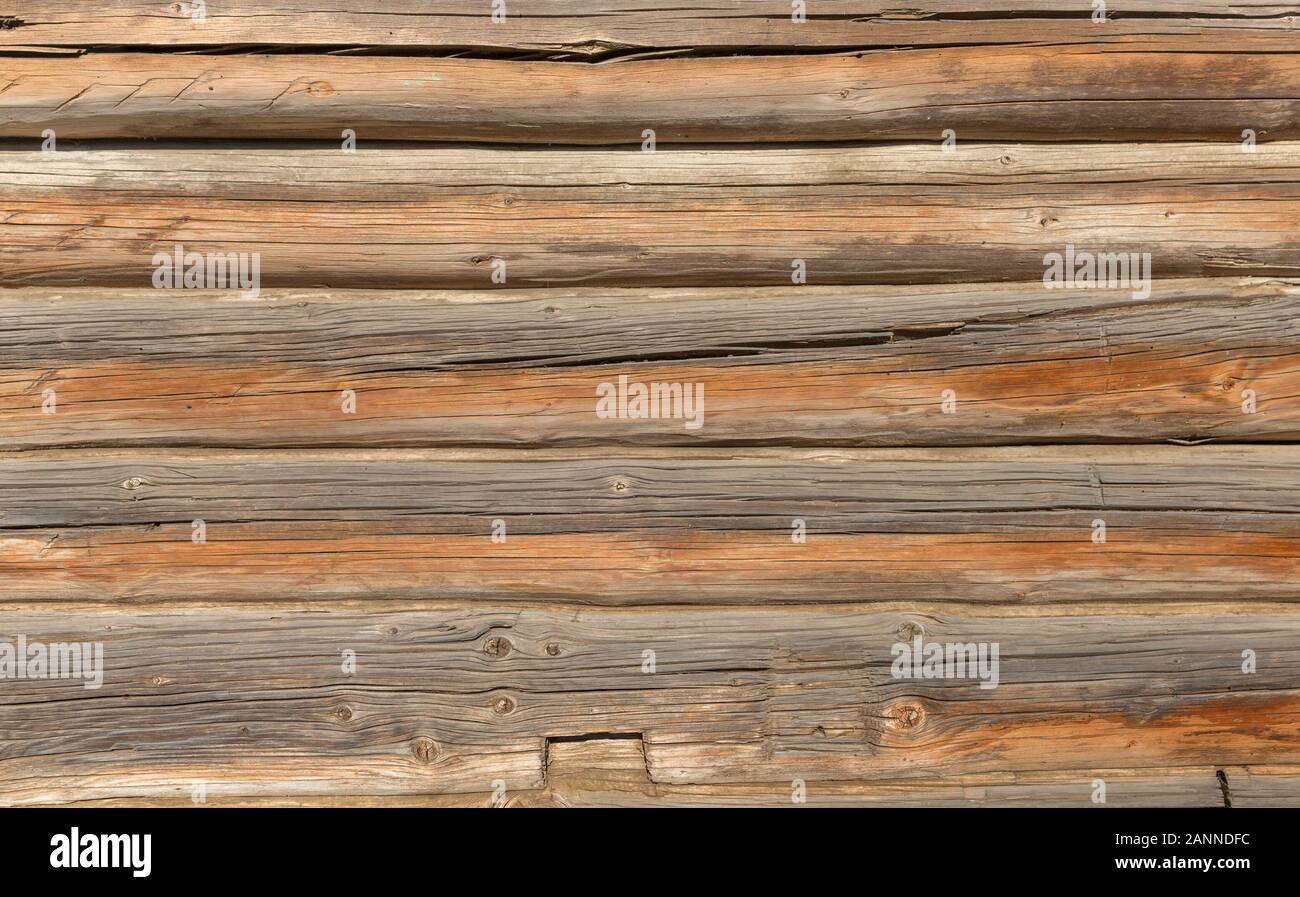 Walnut wood log hi-res stock photography and images - Alamy