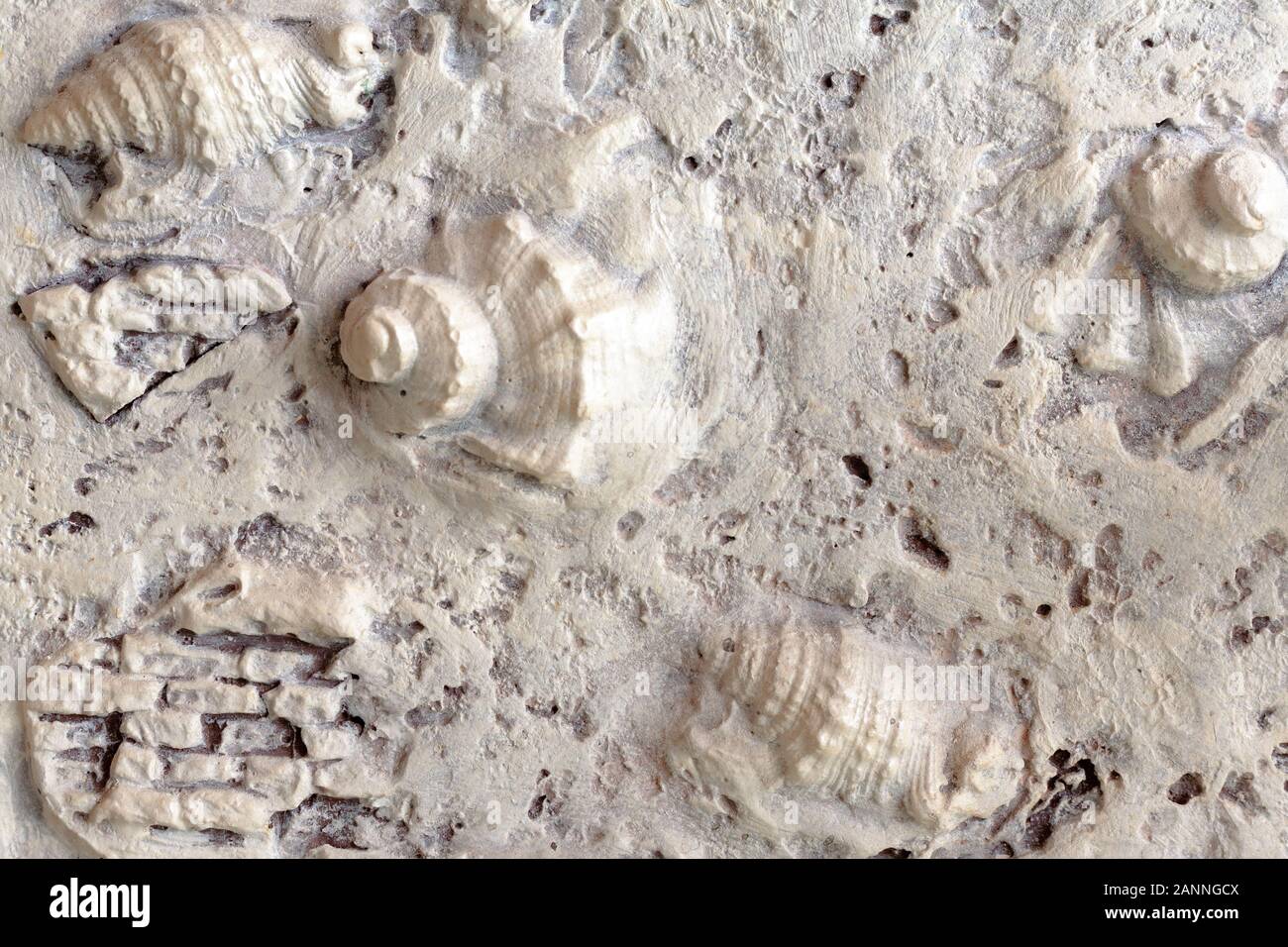 Decorative wall texture marine style. Stock photo close-up texture with ...