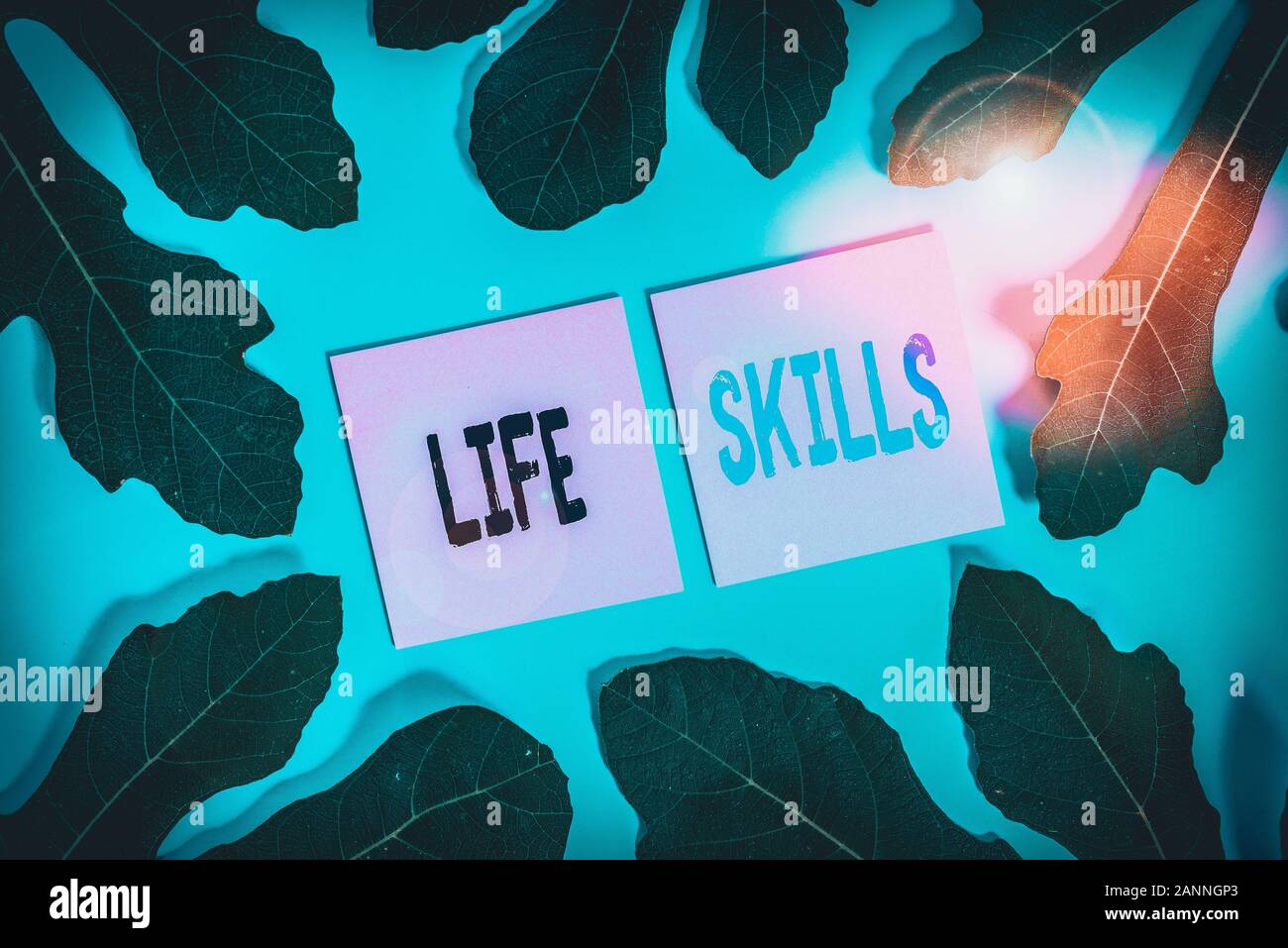 Text sign showing Life Skills. Business photo text skill that is ...