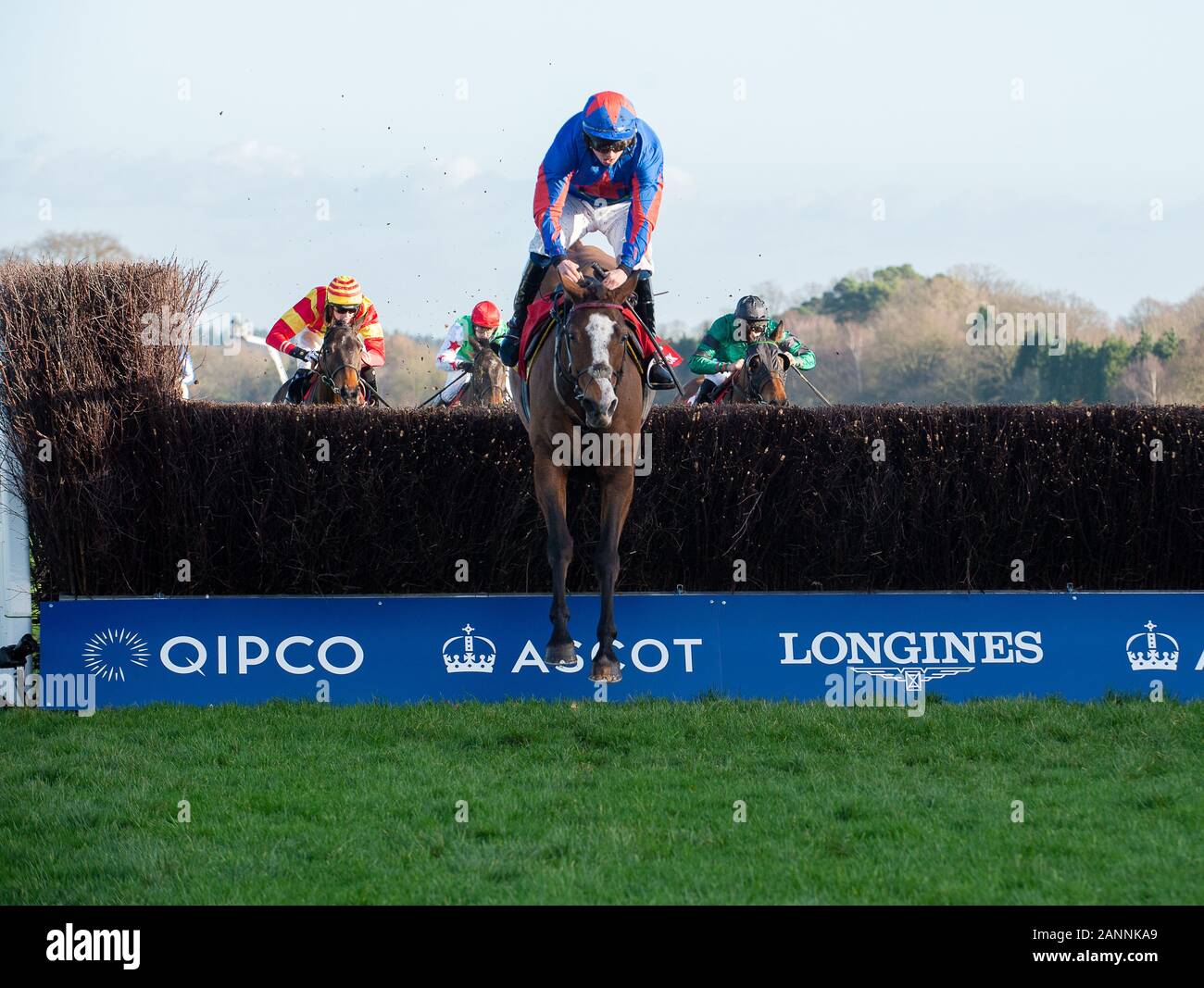 Horse townshend hi-res stock photography and images - Alamy