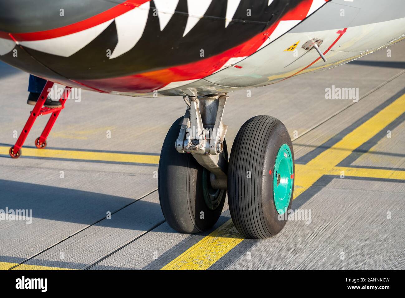RIGA, LATVIA, JANUARY 17, 2020 - Ukranian airline Eleron cargo plane ...
