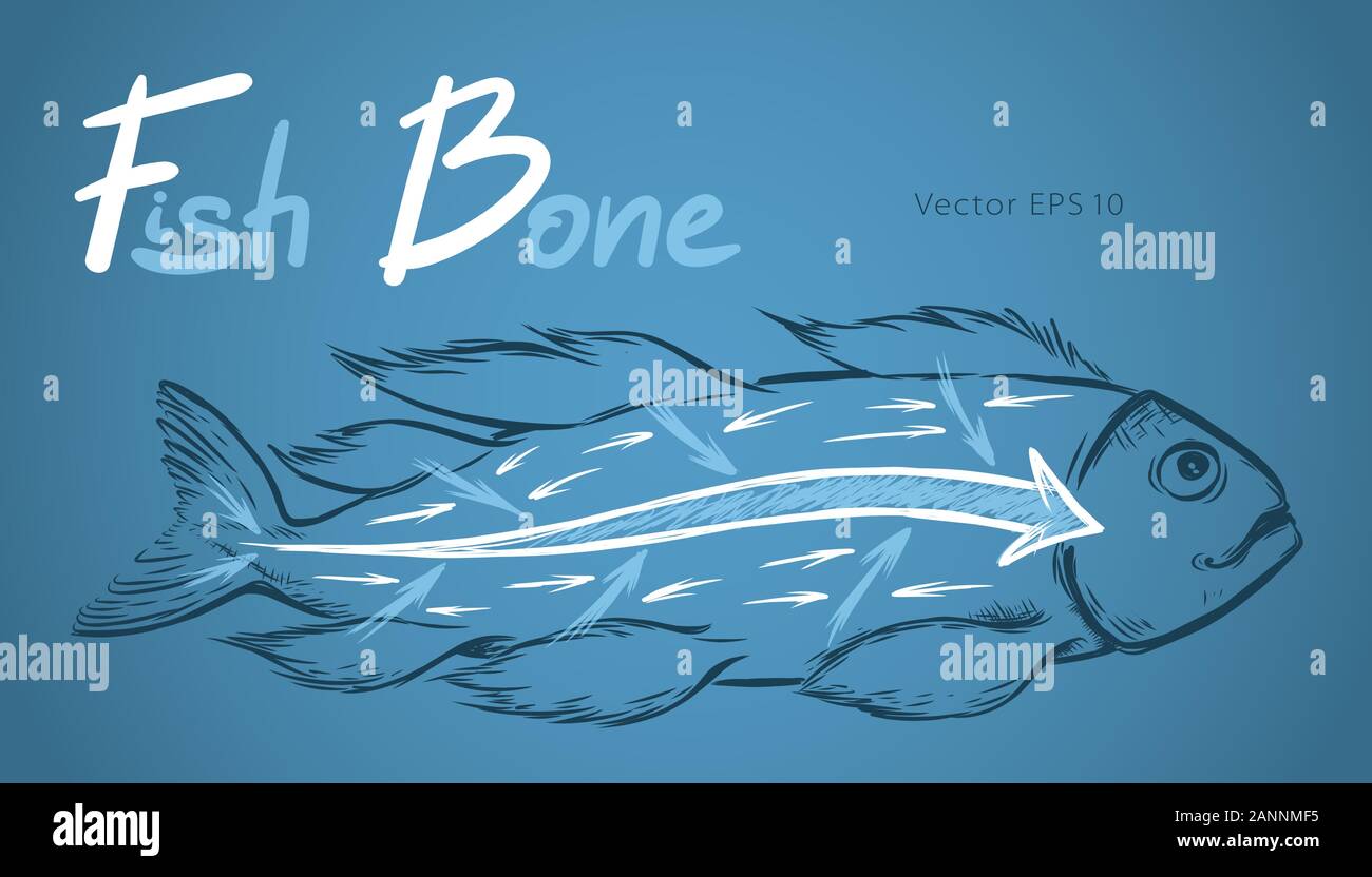 Ishikawa fishbone diagram detailed vector sketch illustration Stock ...