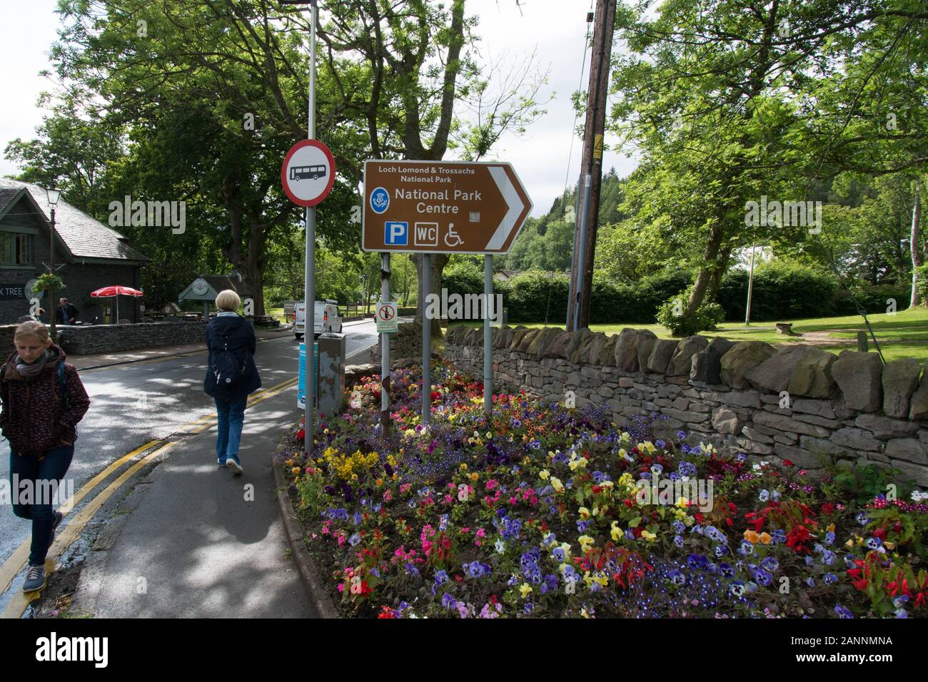 Bus stop in Lock Lomond Scotland National Park flowers spring summer ...