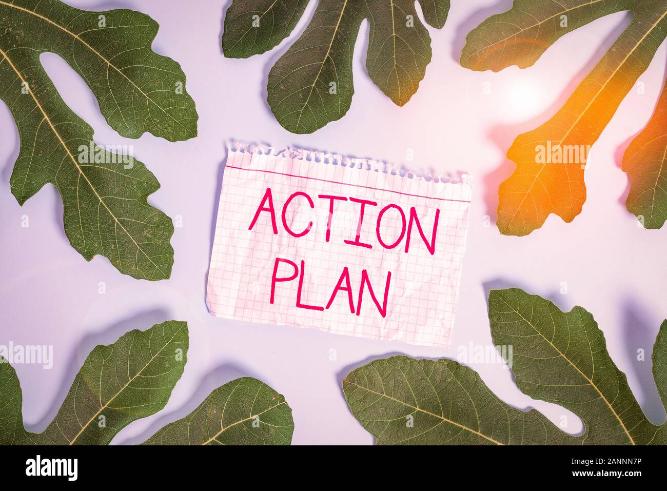 Writing note showing Action Plan. Business concept for detailed plan ...