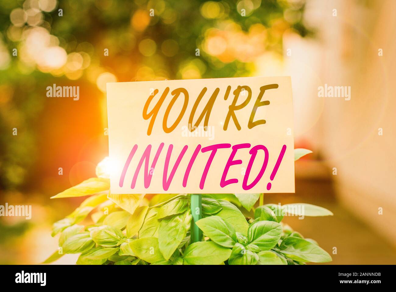 Handwriting text writing You Re Invited. Conceptual photo make a polite ...