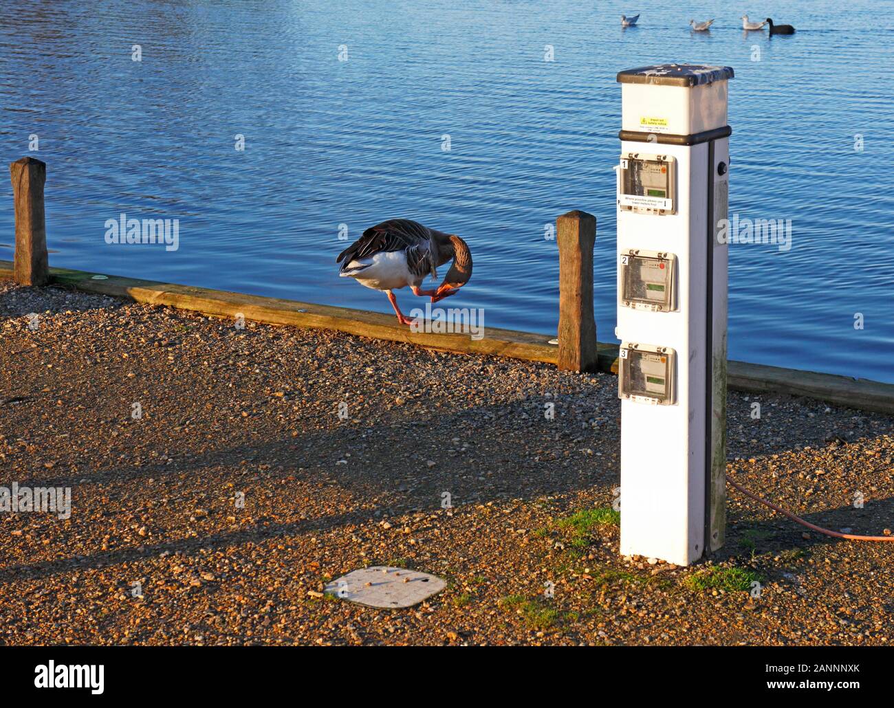 Electric charging point for boats hi-res stock photography and images ...