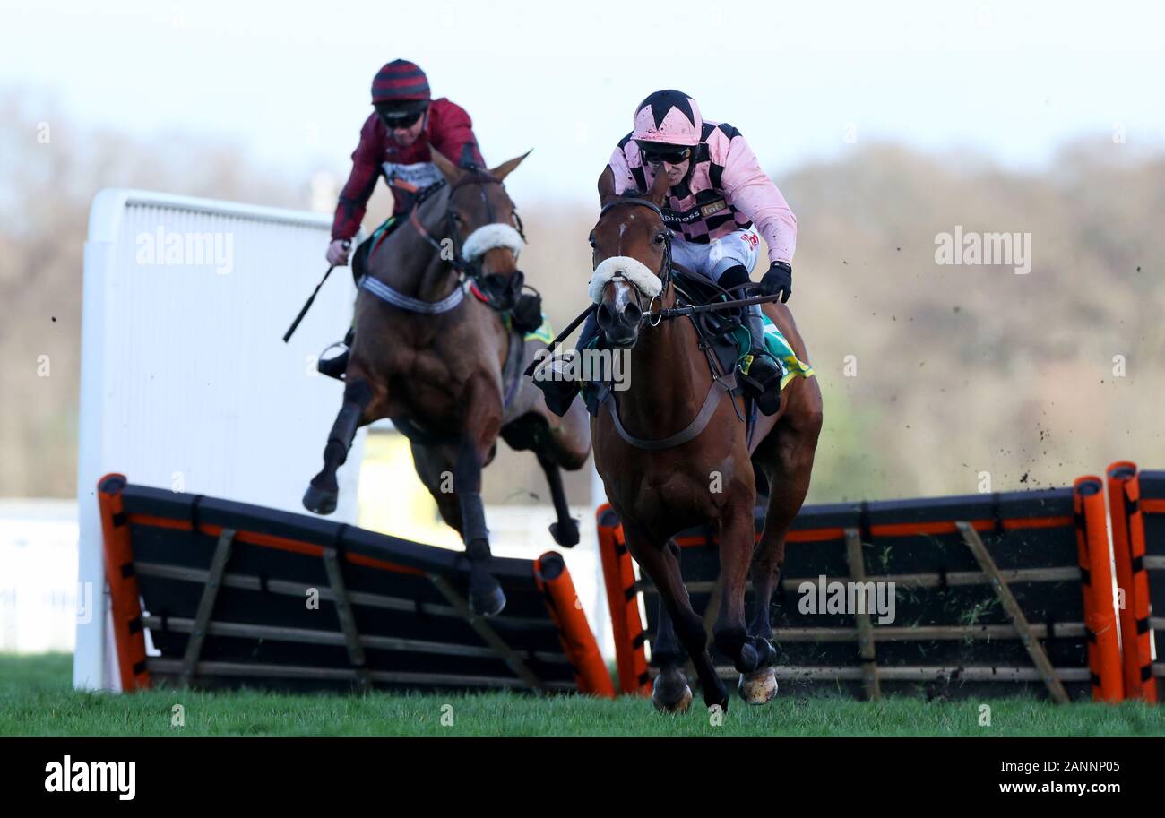 Papagana ridden hi-res stock photography and images - Alamy