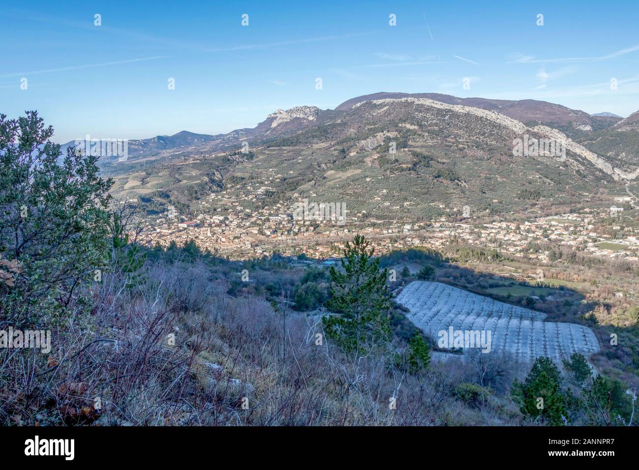 Winter garden in Provence: Apricot fruit trees in the Baronnies at ...