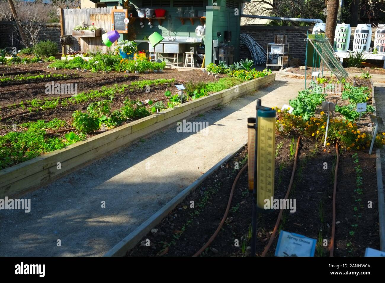 Looking at Urban Garden from Front, Showing Witty Signage Dependent on ...