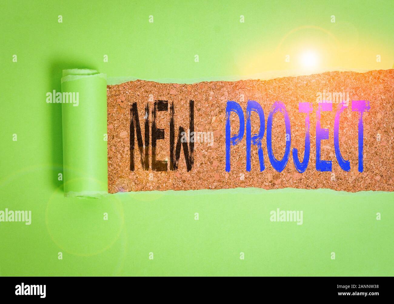 Text sign showing New Project. Business photo text Planned set of ...