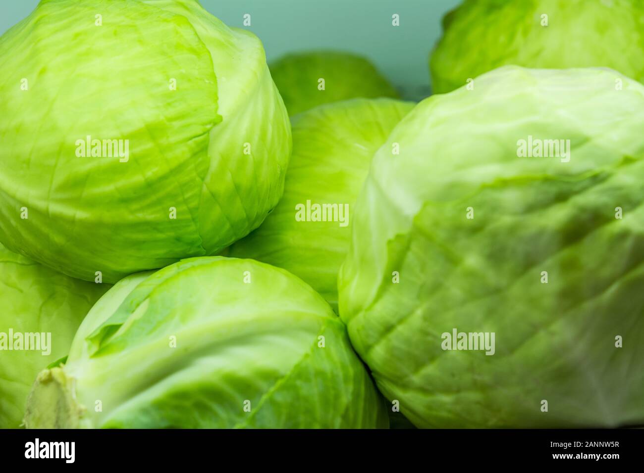 Group of green cabbages in a supermarket Stock Photo - Alamy