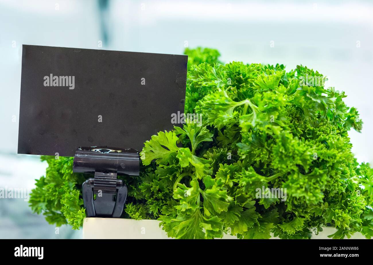 Vegetable price tag hi-res stock photography and images - Alamy