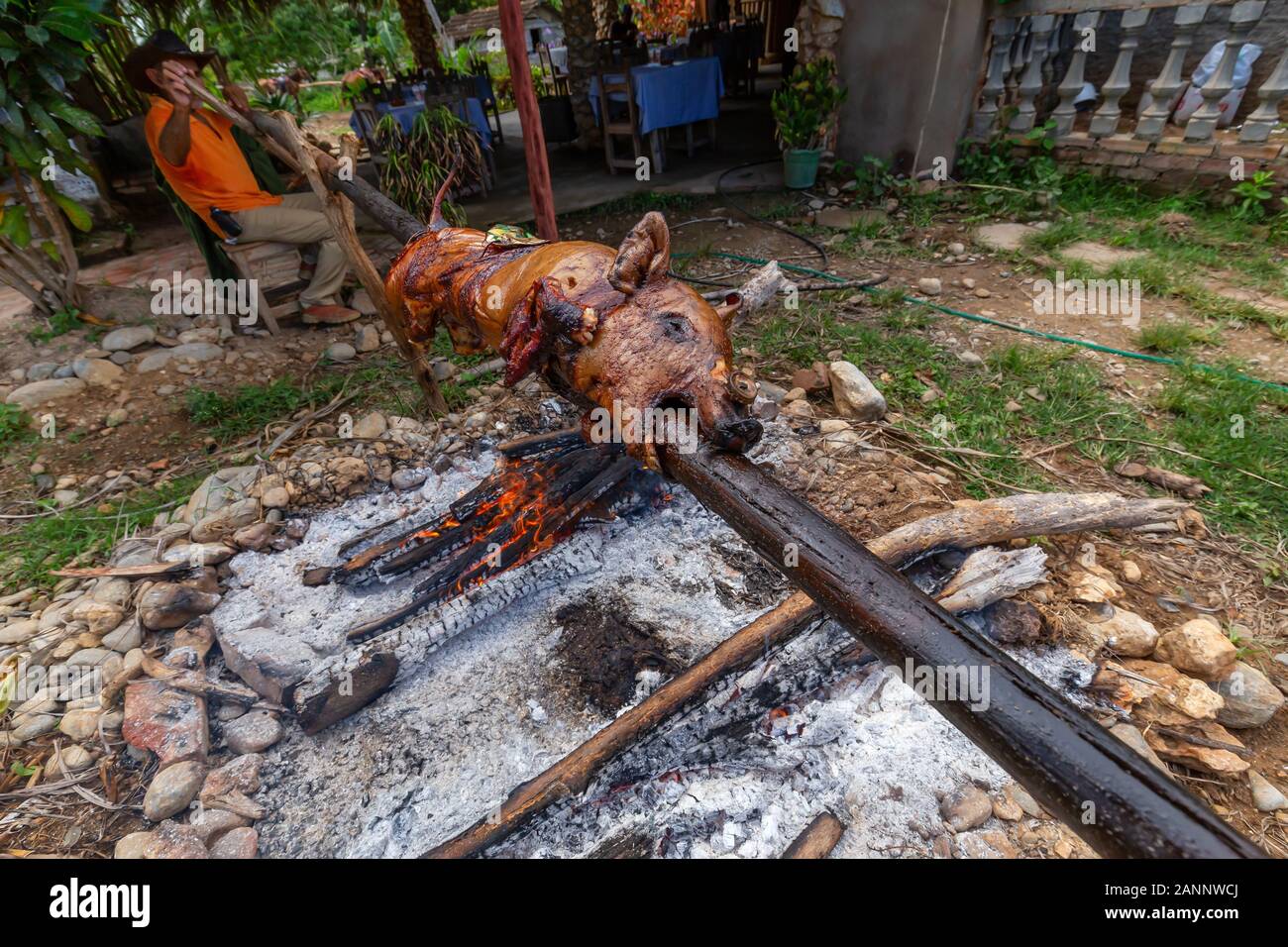Pig roasted on a fire in the country side Stock Photo - Alamy