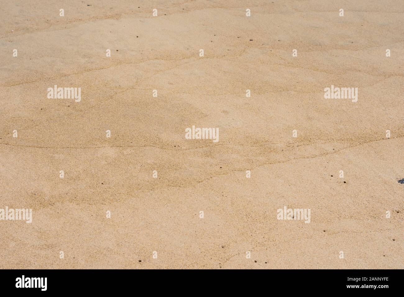 the texture of the sea sand on a beach Stock Photo - Alamy