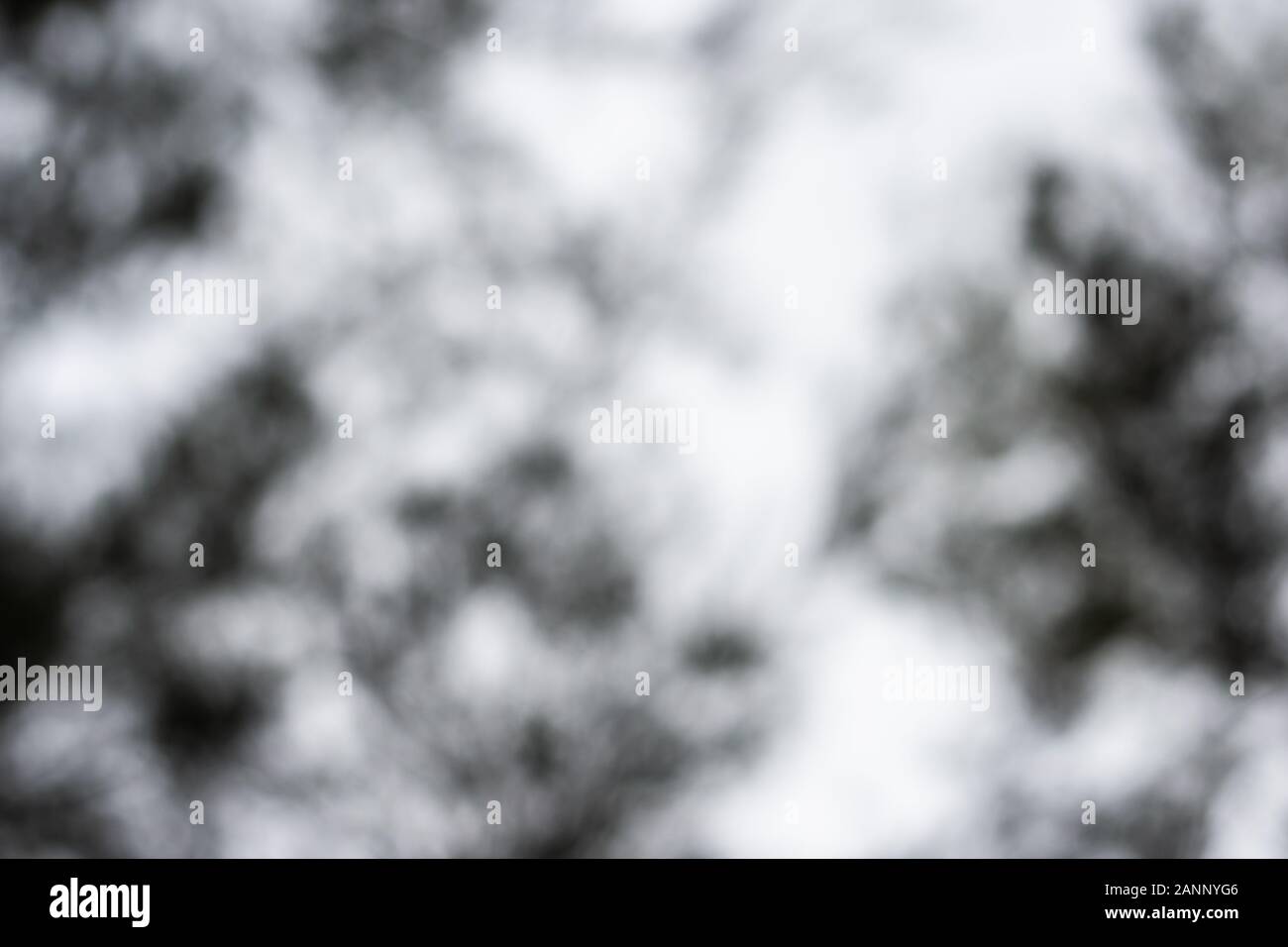 abstract blur black and white background Stock Photo - Alamy