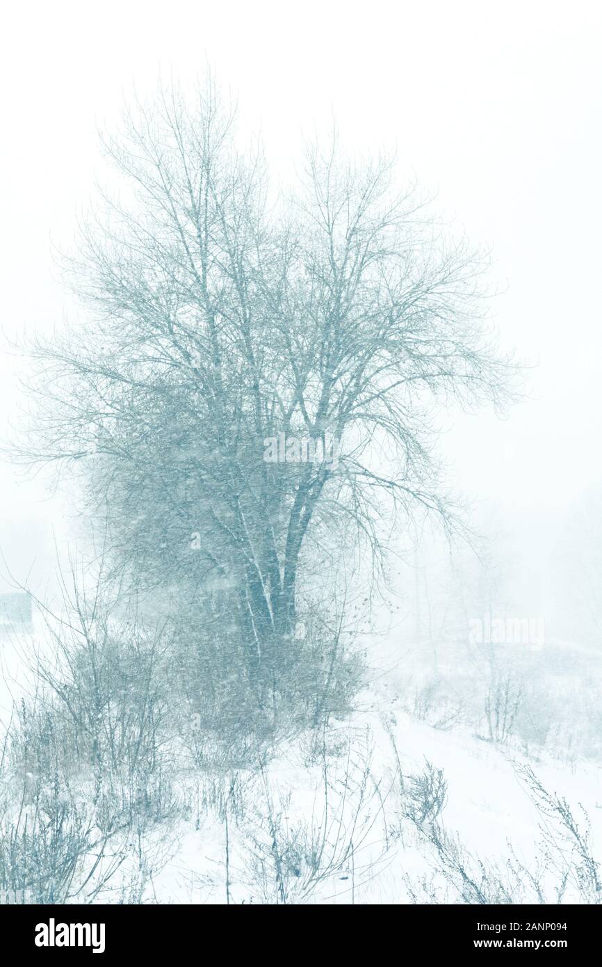 Ice storm frozen countryside hi-res stock photography and images - Alamy