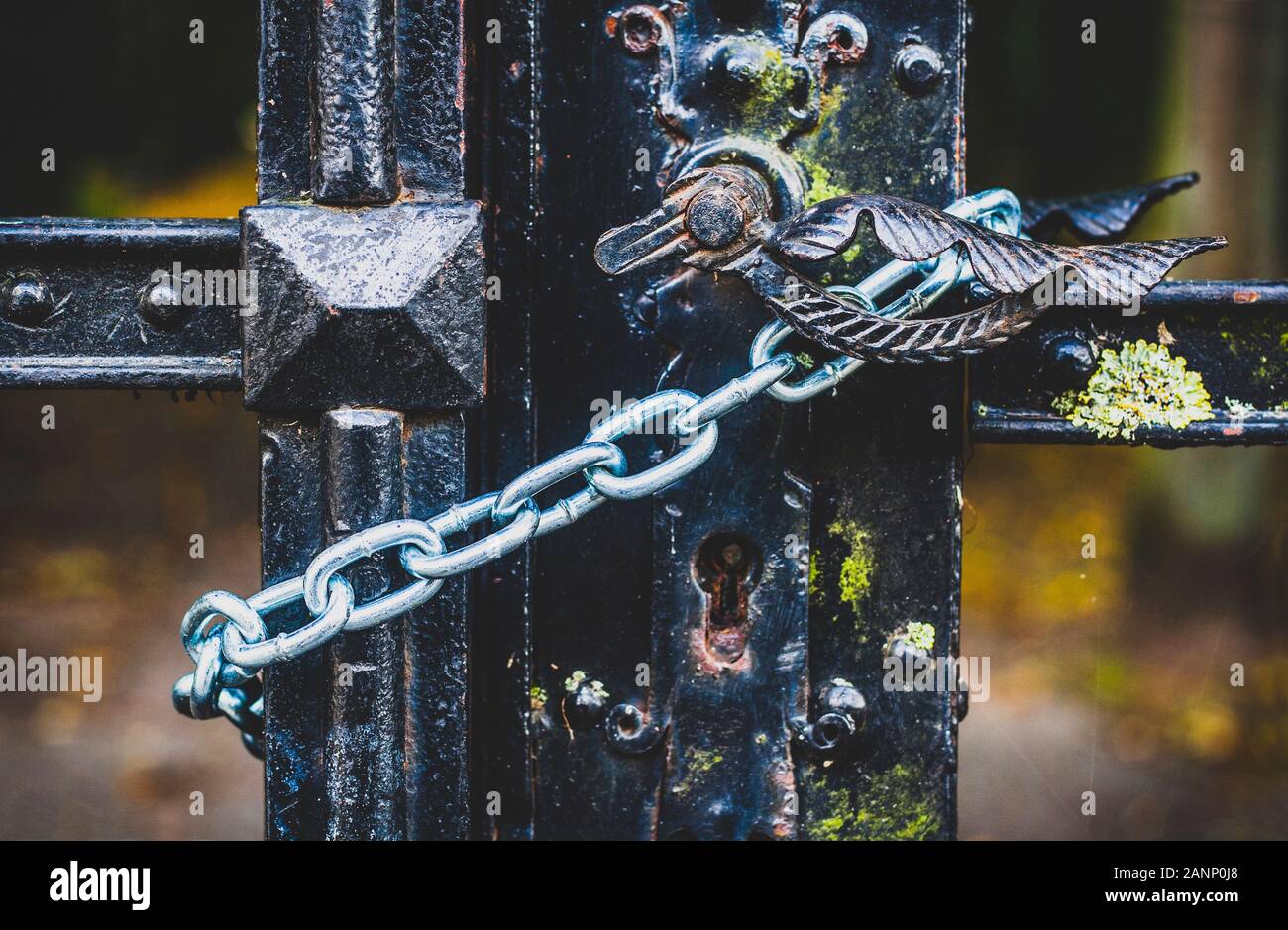 Handle and lock of very old cast iron gate locked with chain Stock ...