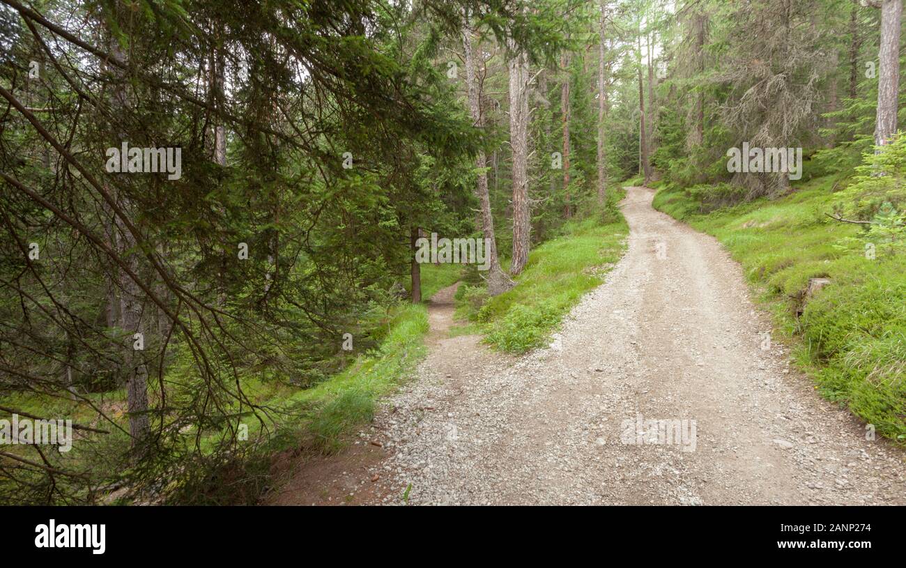A single mountain path splits in two different directions Stock Photo ...