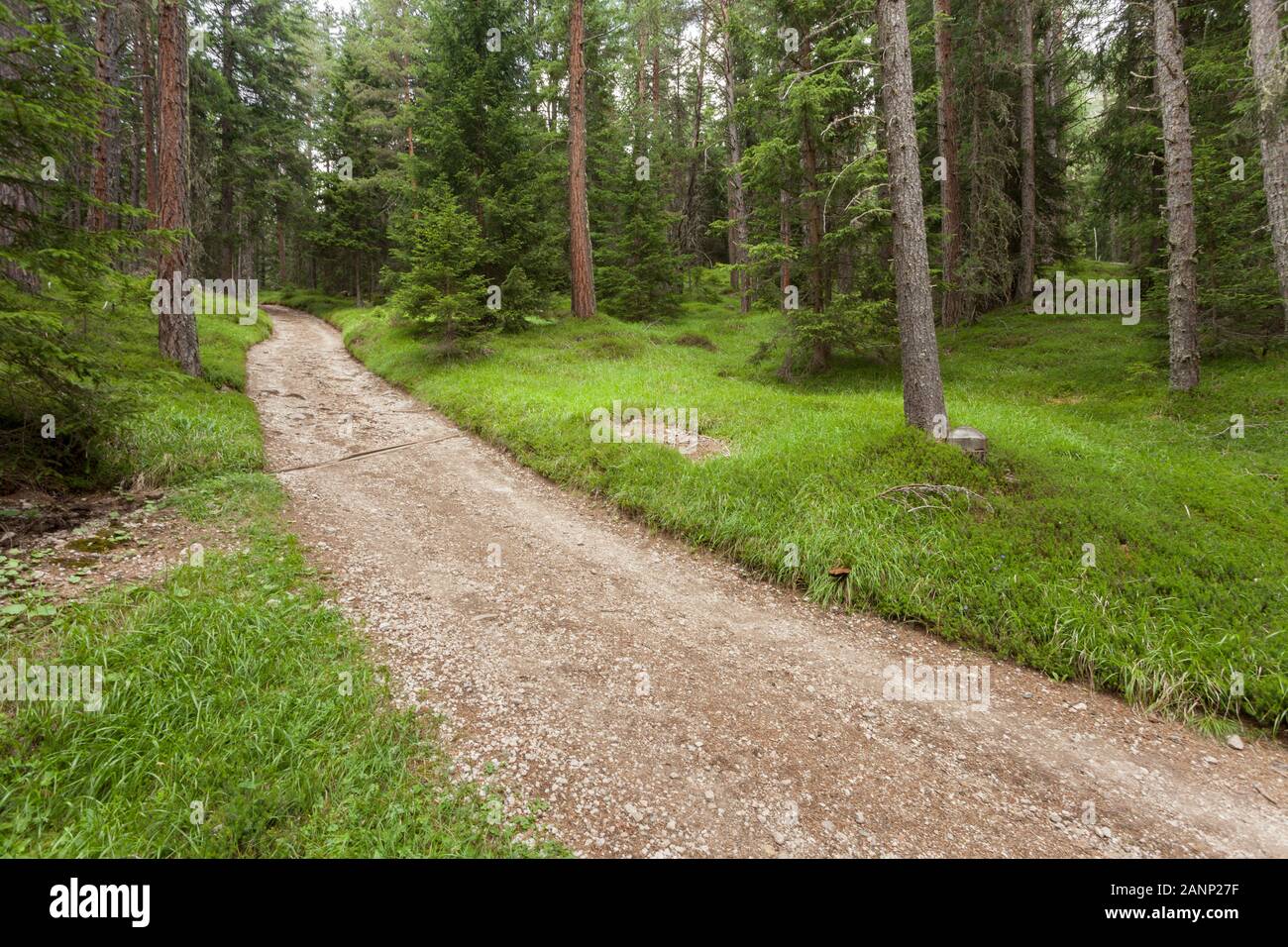 A single mountain path splits in two different directions Stock Photo ...