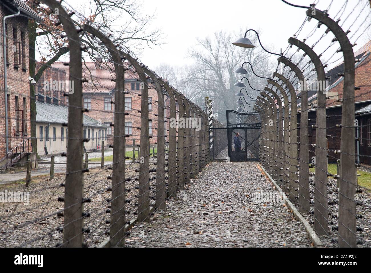Barbed wire fence in Nazi German Konzentrationslager Auschwitz I ...