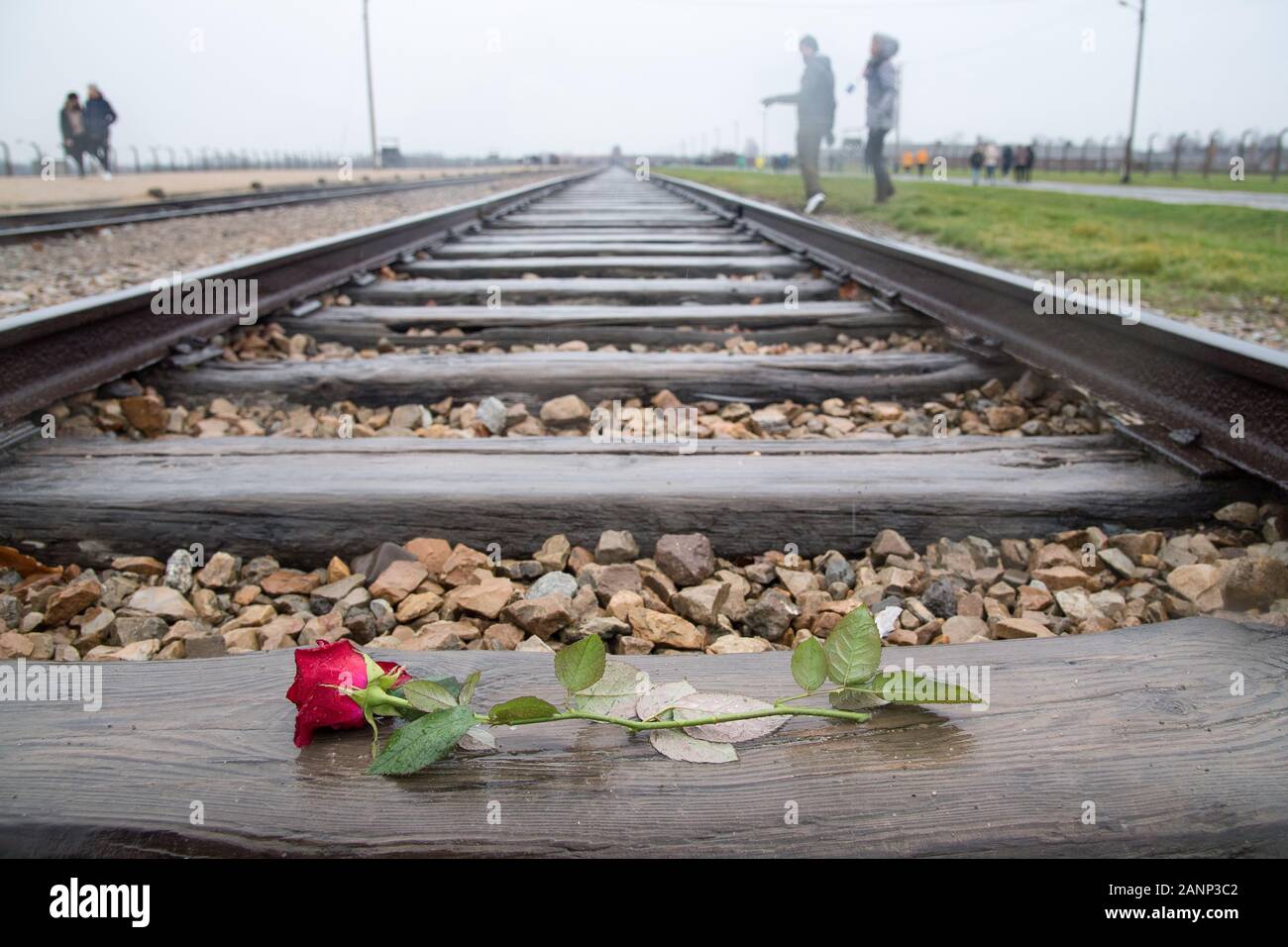 Judenrampe (Jewish ramp) in Nazi German Konzentrationslager Auschwitz ...