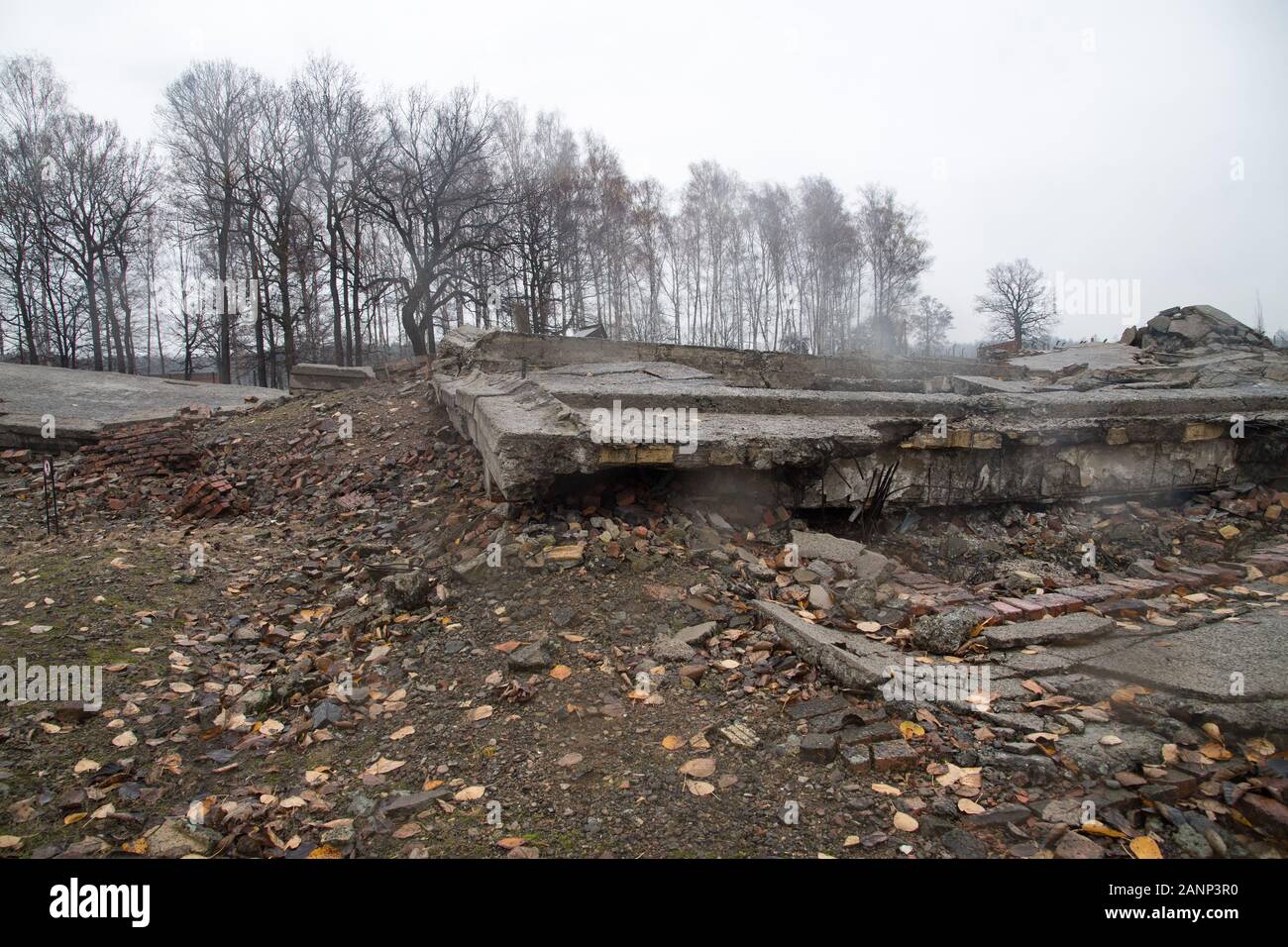 Auschwitz birkenau gas chamber crematorium iii hi-res stock photography ...