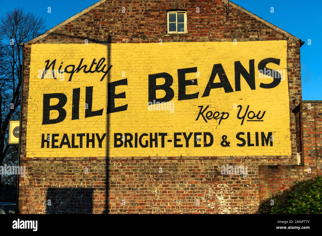 Bile Beans Sign Stock Photo - Alamy