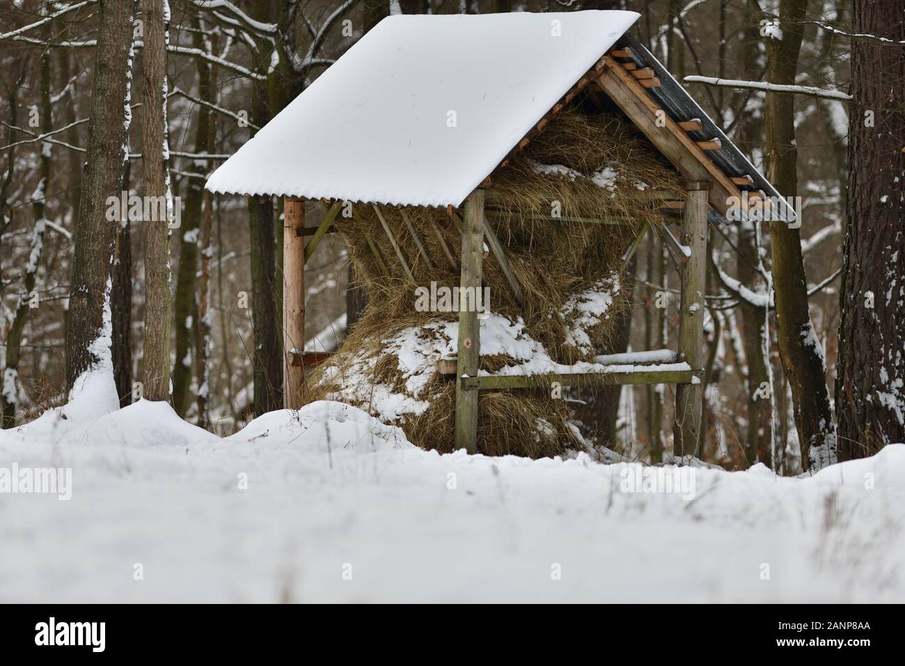 Spring fodder rack hi-res stock photography and images - Alamy
