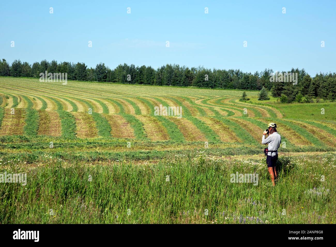 Wheat field patterns hi-res stock photography and images - Alamy
