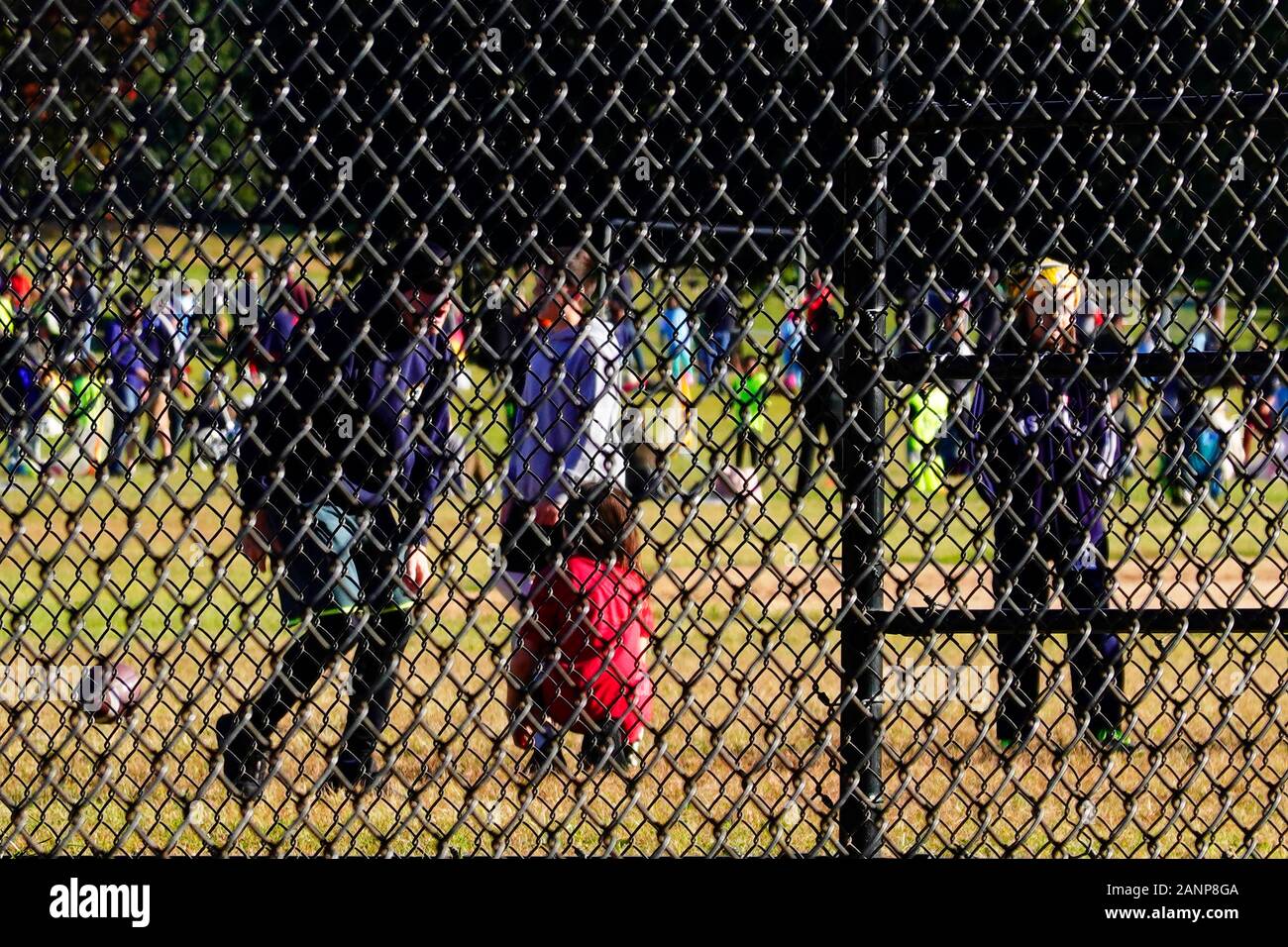 New york baseball teams hi-res stock photography and images - Alamy