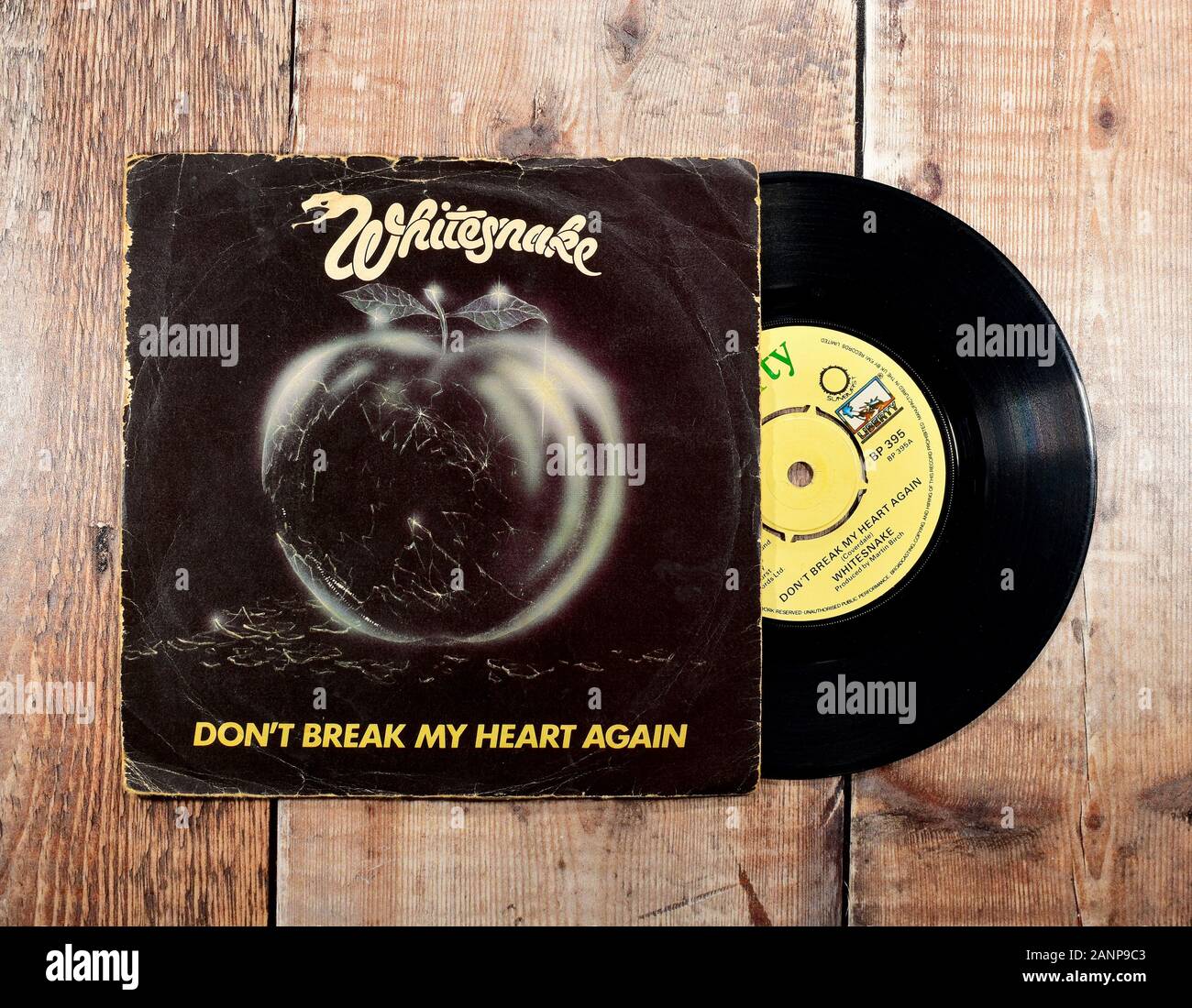 Dont Break My Heart Bob