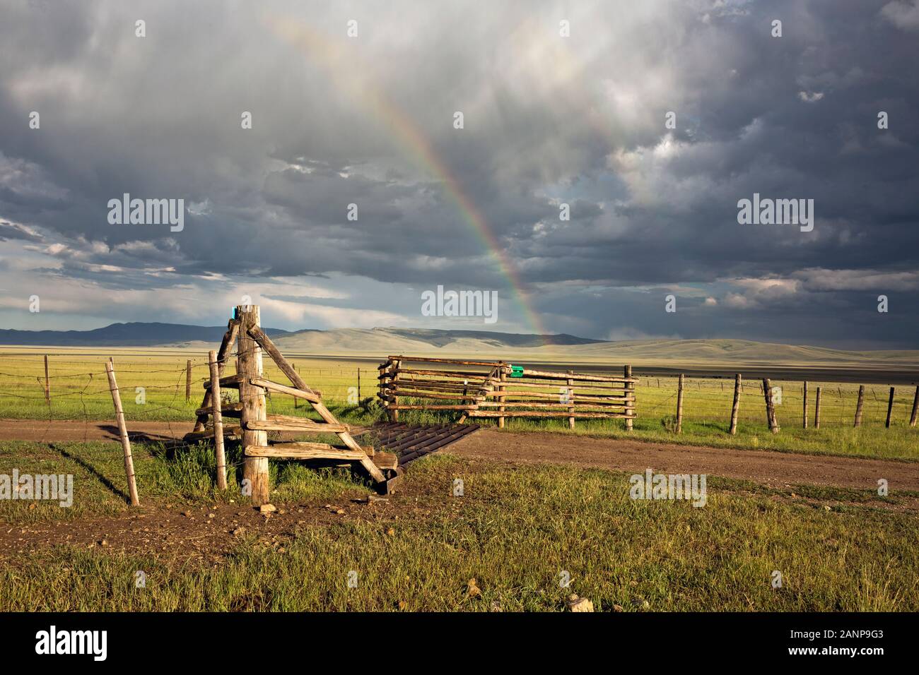 Cattleguard cattle guard hi-res stock photography and images - Alamy