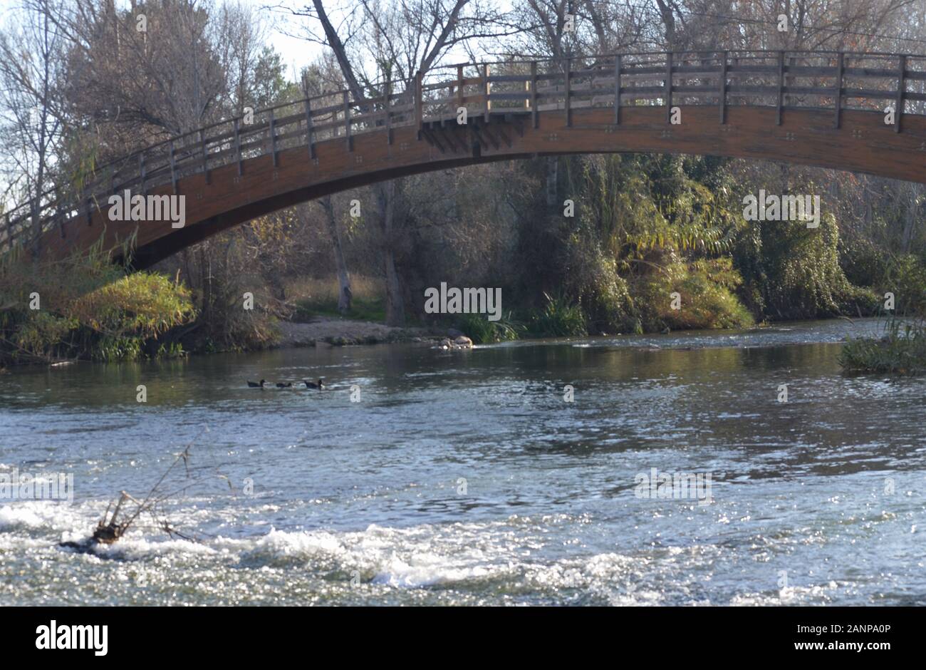 Wooden suspension bridge over the Turia river, Turia natural park ...